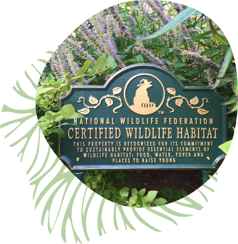 Certified Wildlife Habitats | Garden for Wildlife